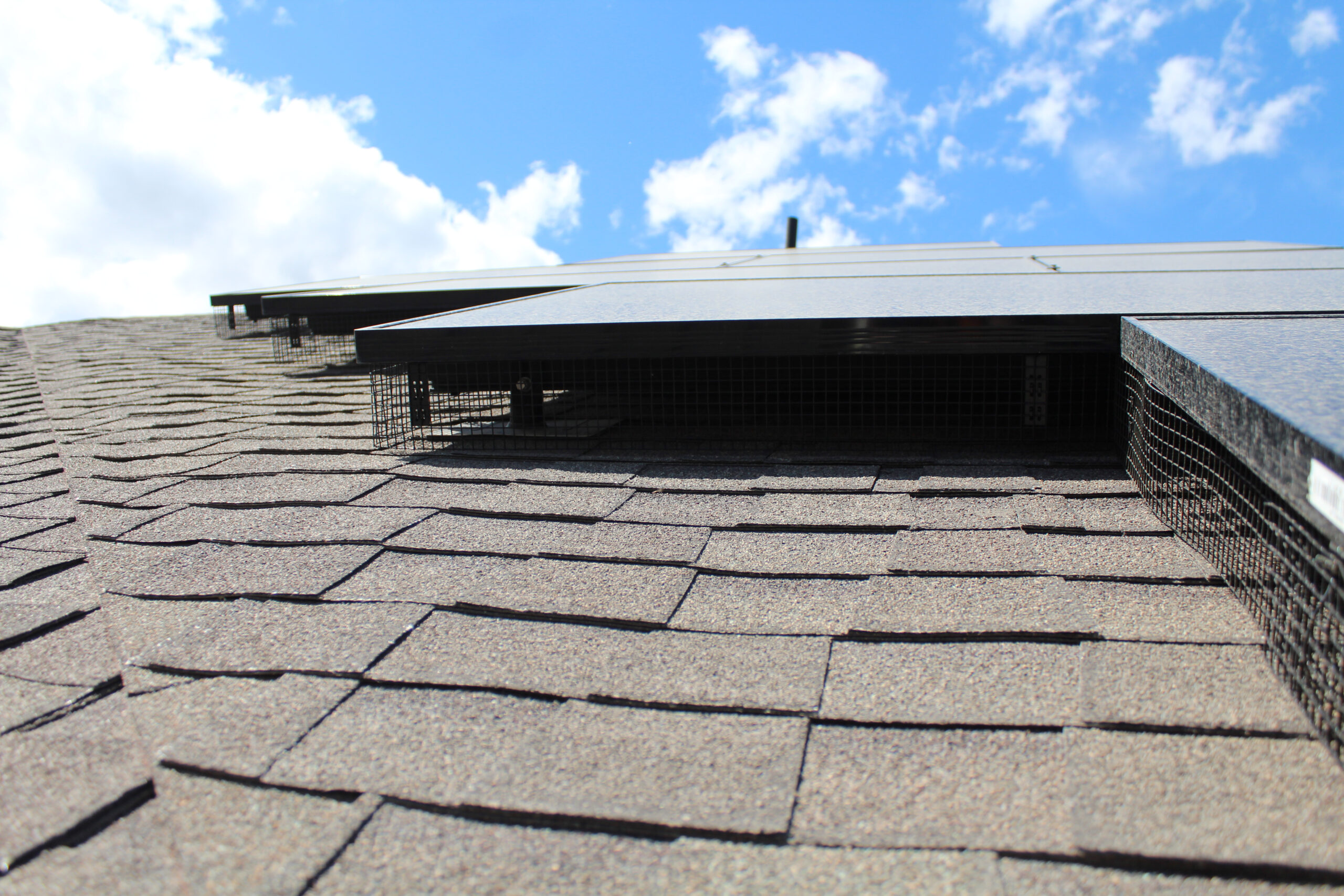 Bird Proofing your Solar Panels - SolarWorksCY